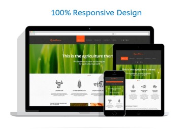 Fruit Responsive Website Template #47427