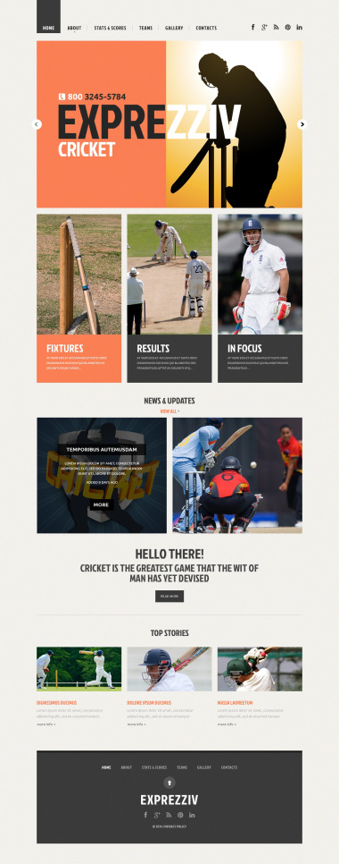 Cricket Responsive Website Template #48223