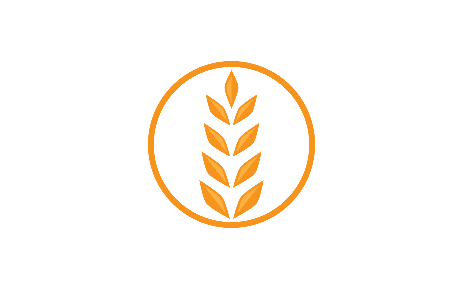 Illustration vectorielle du modèle de logo de blé