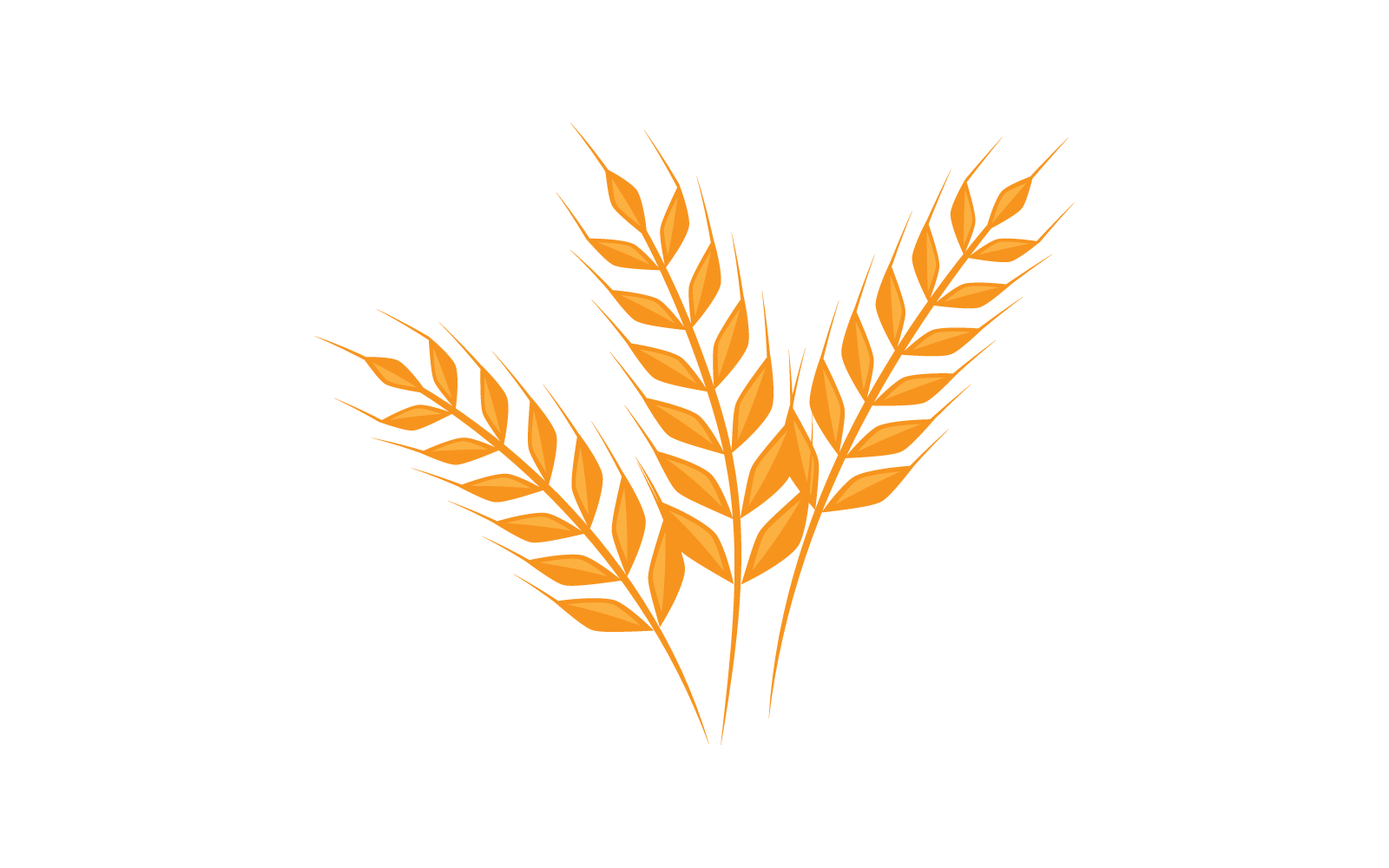 Design piatto per il logo del modello vettoriale del grano
