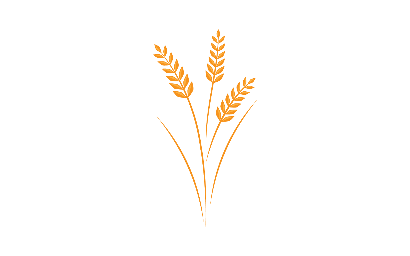 Modèle d'illustration vectorielle de modèle de logo de blé