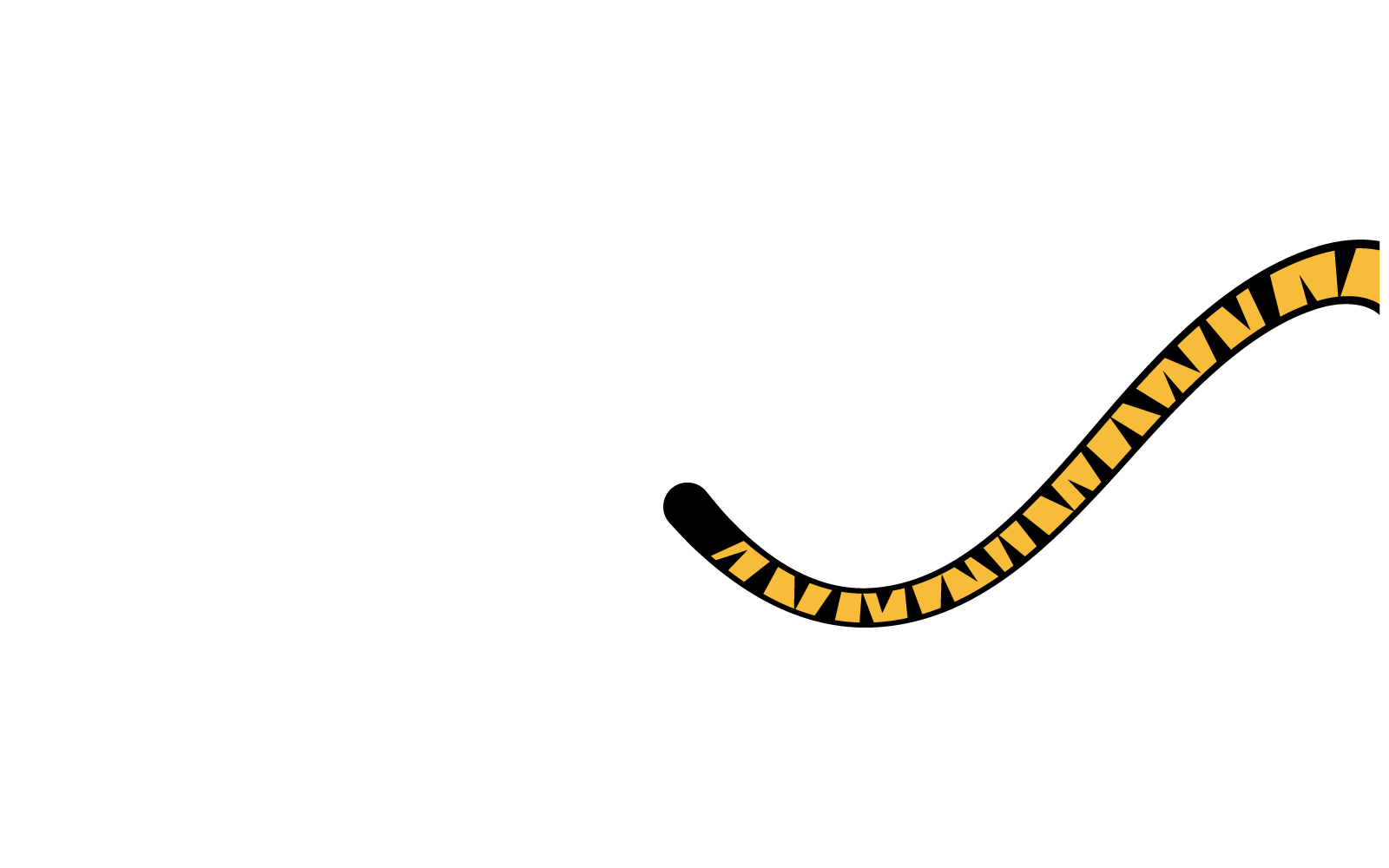 Tiger tail prázdné místo pozadí obrázku ikonu vektorový design