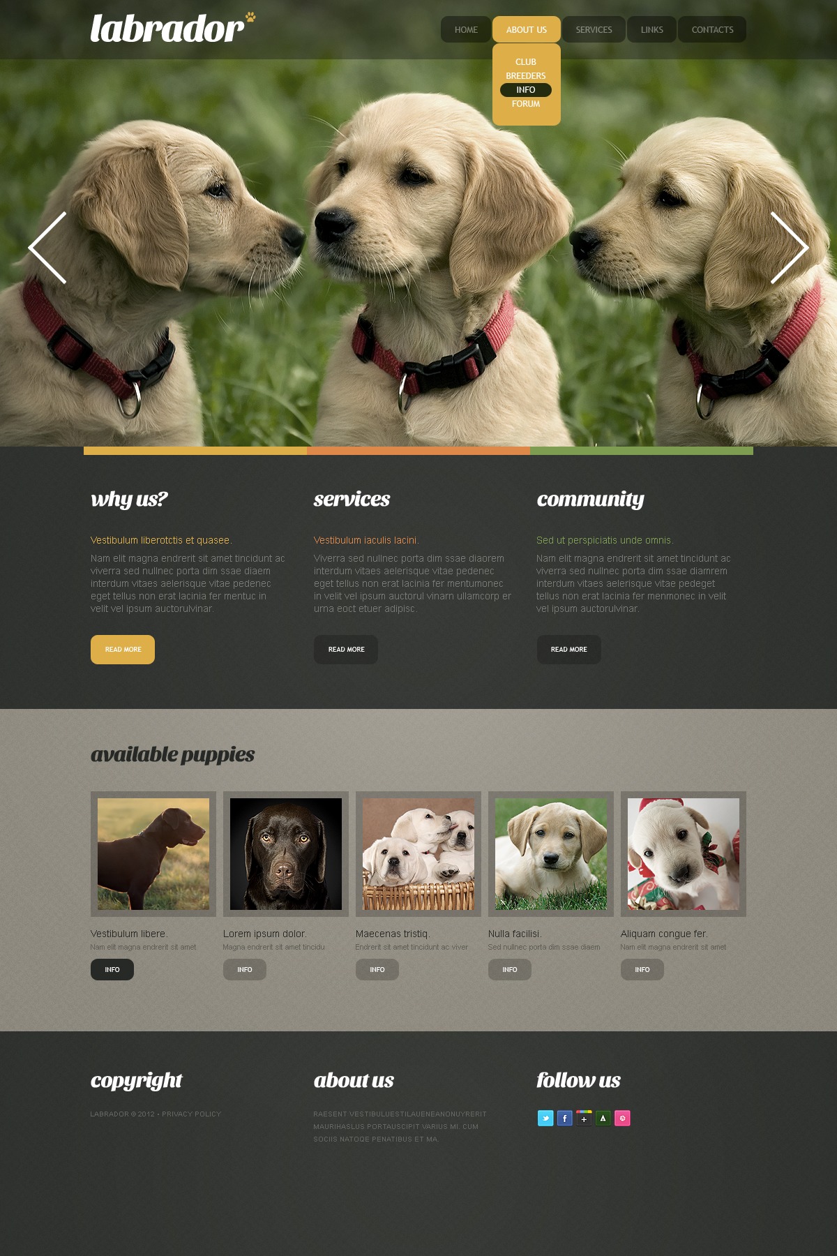 Dog Website Template 39103