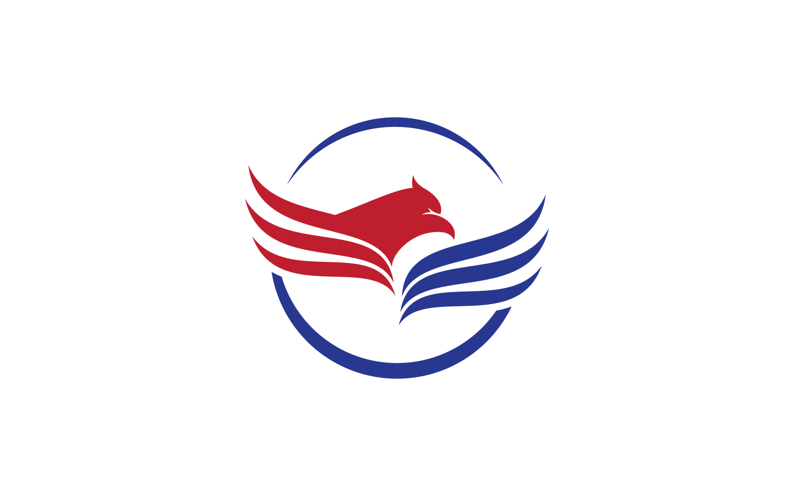 Şahin kartal kuş illüstrasyon logo tasarım şablonu