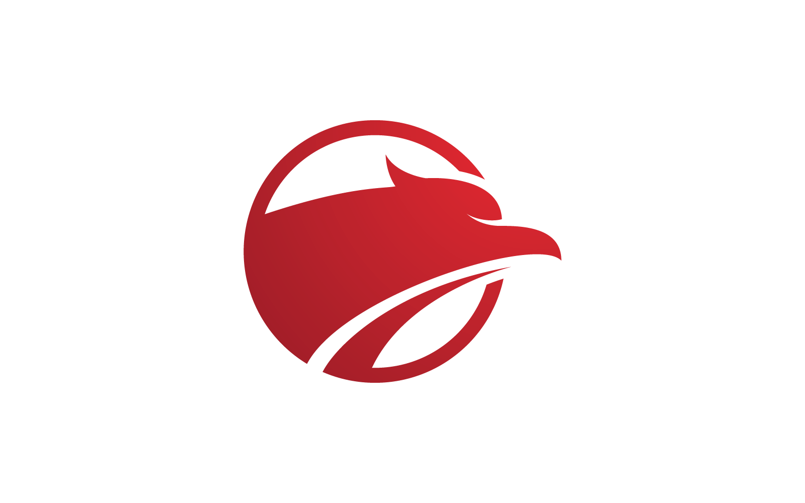 Şahin kartal kuş illüstrasyon logo vektör tasarımı