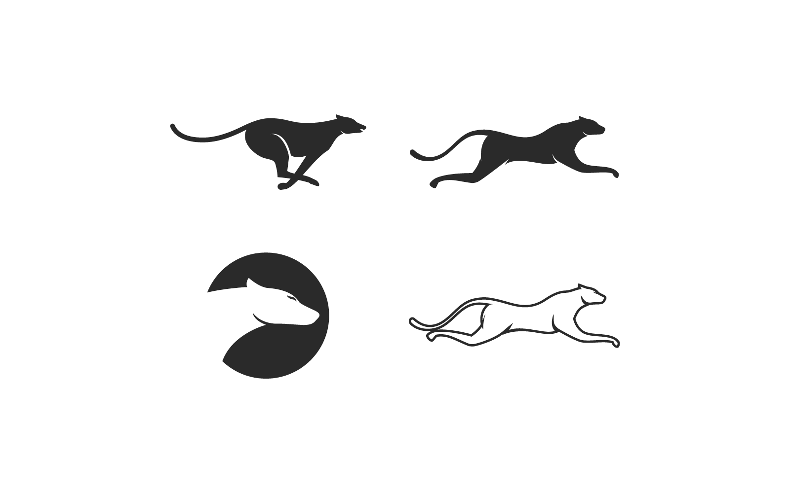 Guépard logo illustration modèle vectoriel design plat