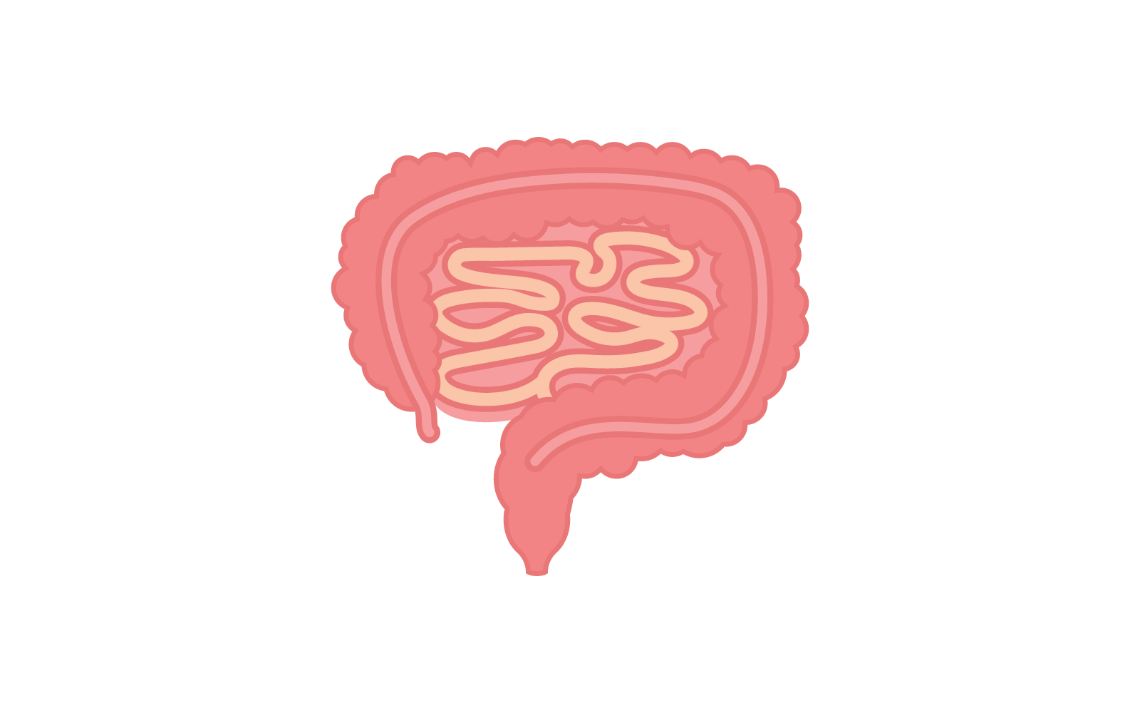 Intestine Illustration icon flat design template