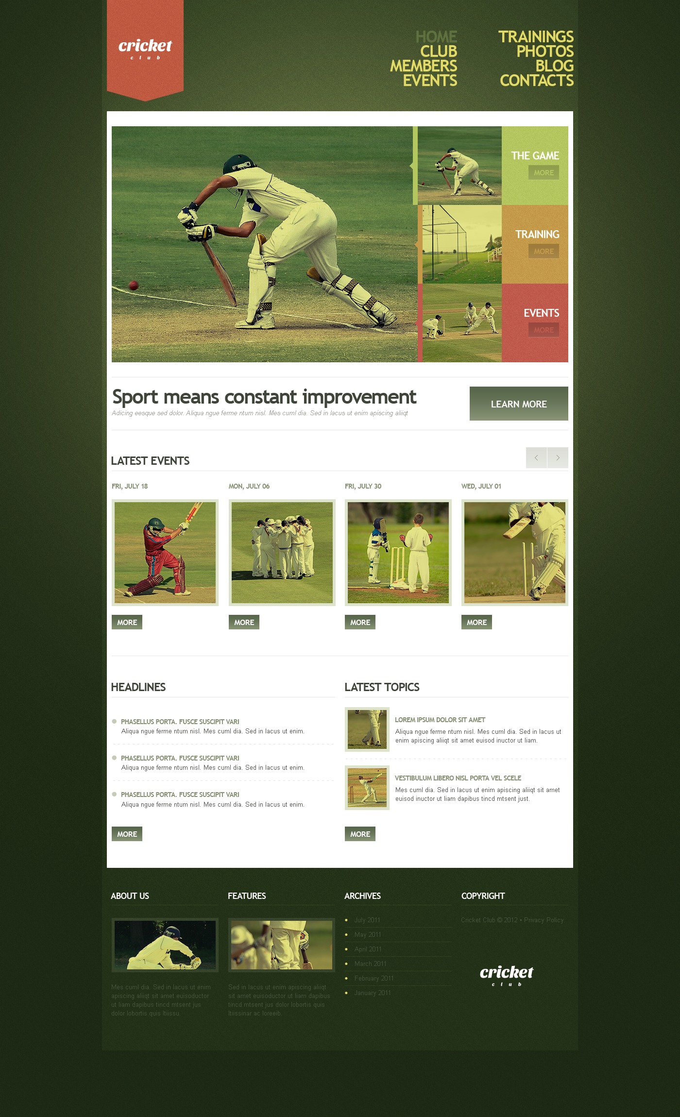 Cricket Website Template 39976