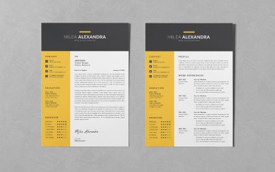 Creative Modern Professional Resume/CV Design PSD Templates