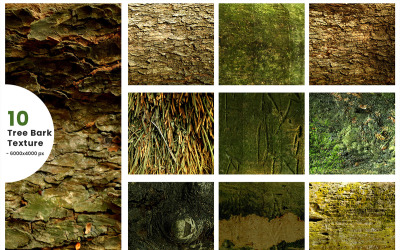 Tree bark texture background and Timber texture background. Wood ...