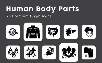 Human body Parts and Organs Filled Icons - TemplateMonster