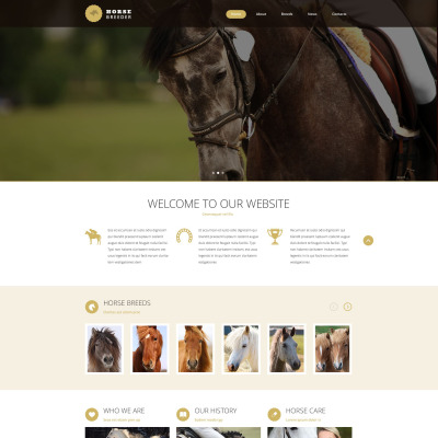Horse Website Templates