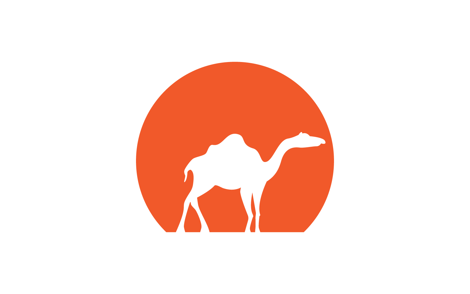 Camel design illustration vector template - TemplateMonster
