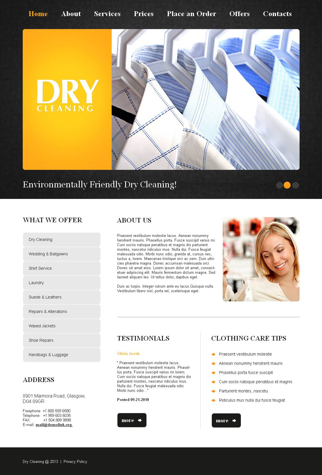 Laundry Templates | TemplateMonster