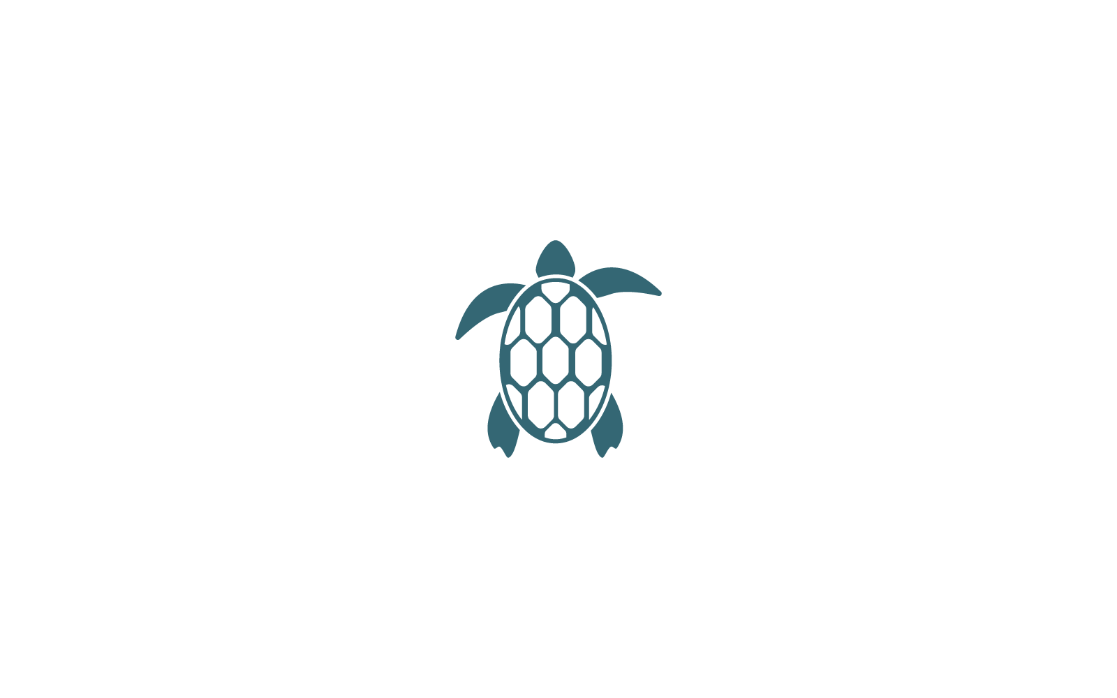 Modèle de conception d'illustration vectorielle de logo de tortue