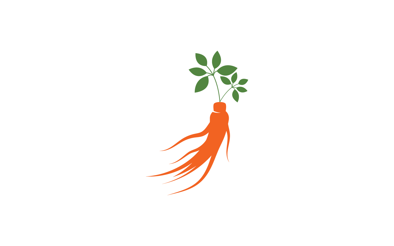Plantilla de vector de icono de ilustración de logotipo de ginseng