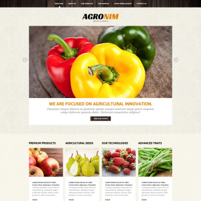Fruit Templates | TemplateMonster