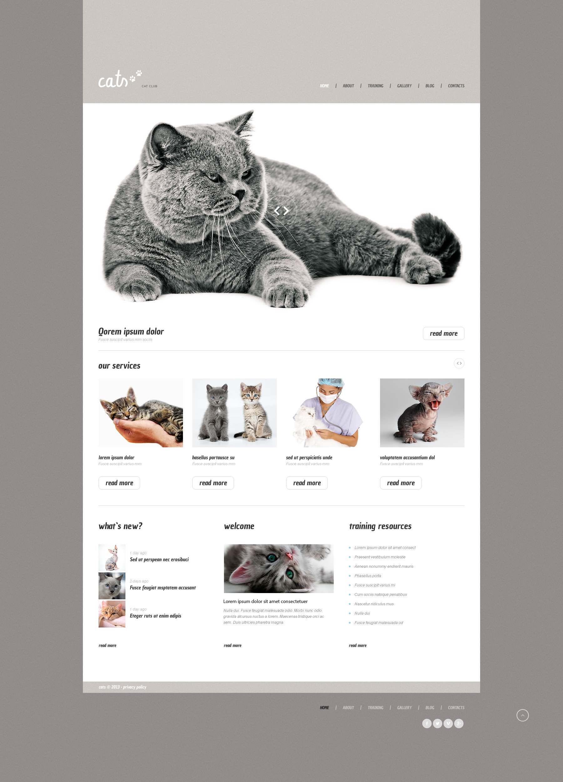 Thèmes WordPress pour Sites de Chats