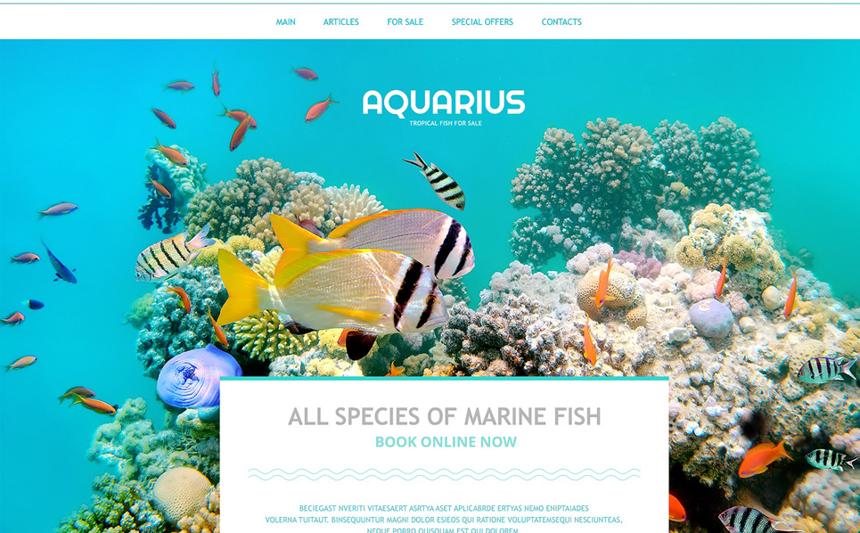 Fish Responsive Website Template #48323