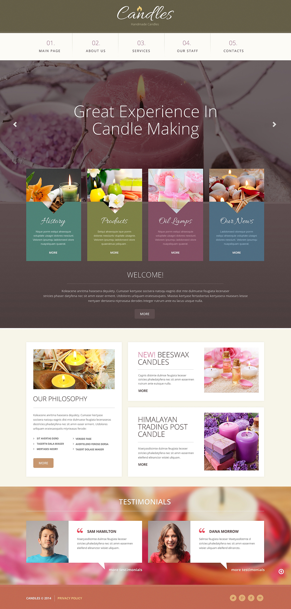 Ts Responsive Website Template 49212