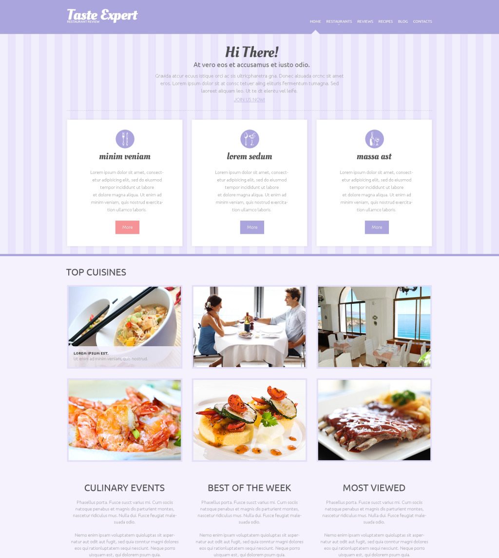Restaurant Reviews Responsive WordPress Theme #49291