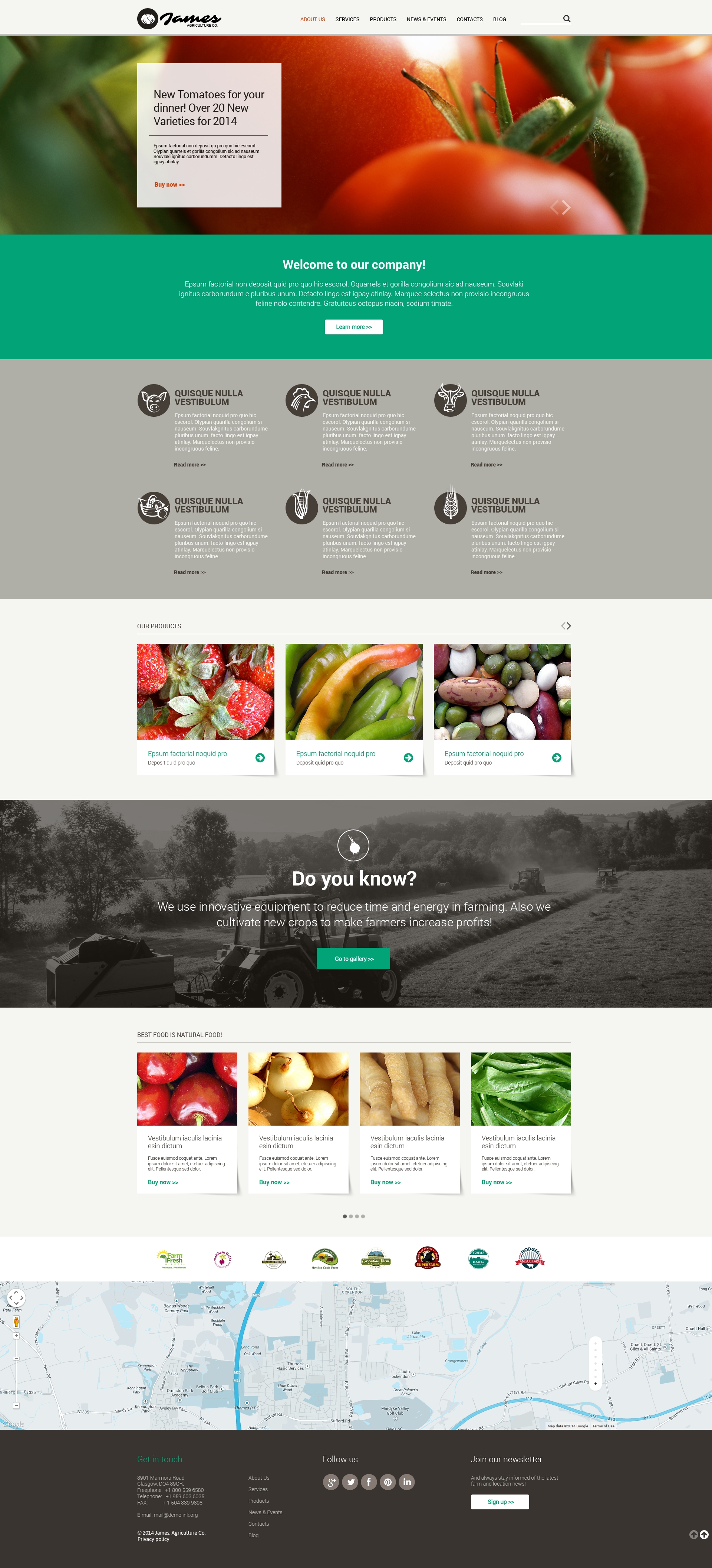 Fruit Export Website Templates