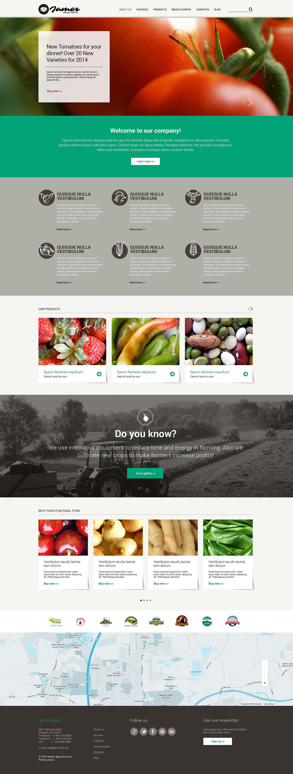 Vegetable Responsive Website Template #51209