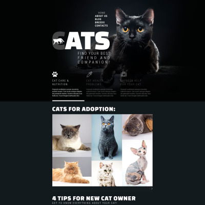 13+ Best Cat Website Templates | Cat HTML Templates