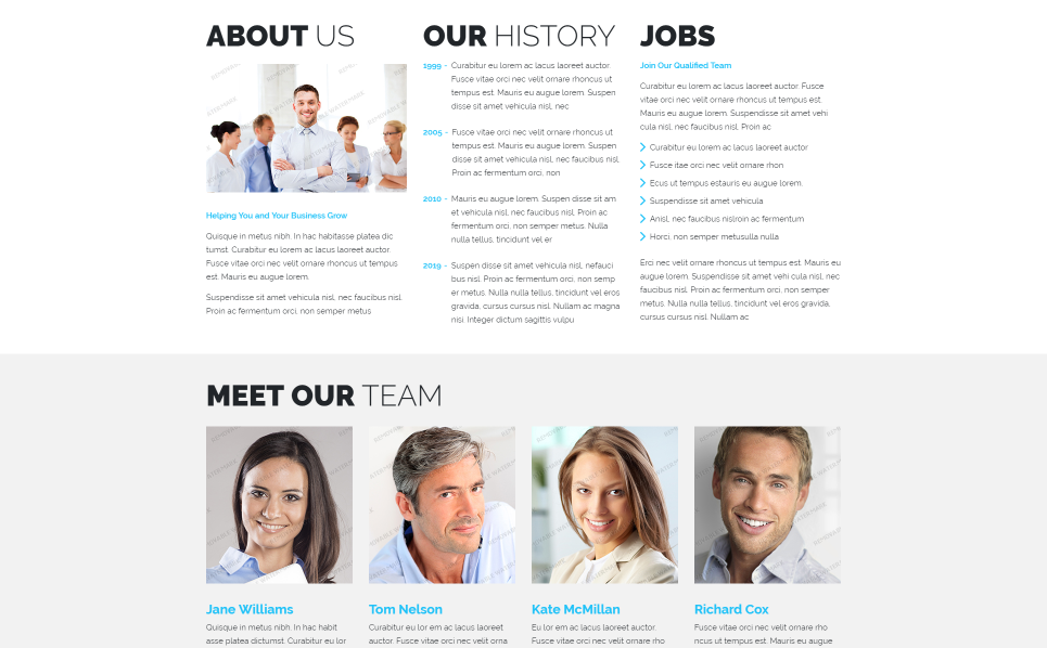 Free Business Responsive Template Website Template #55227