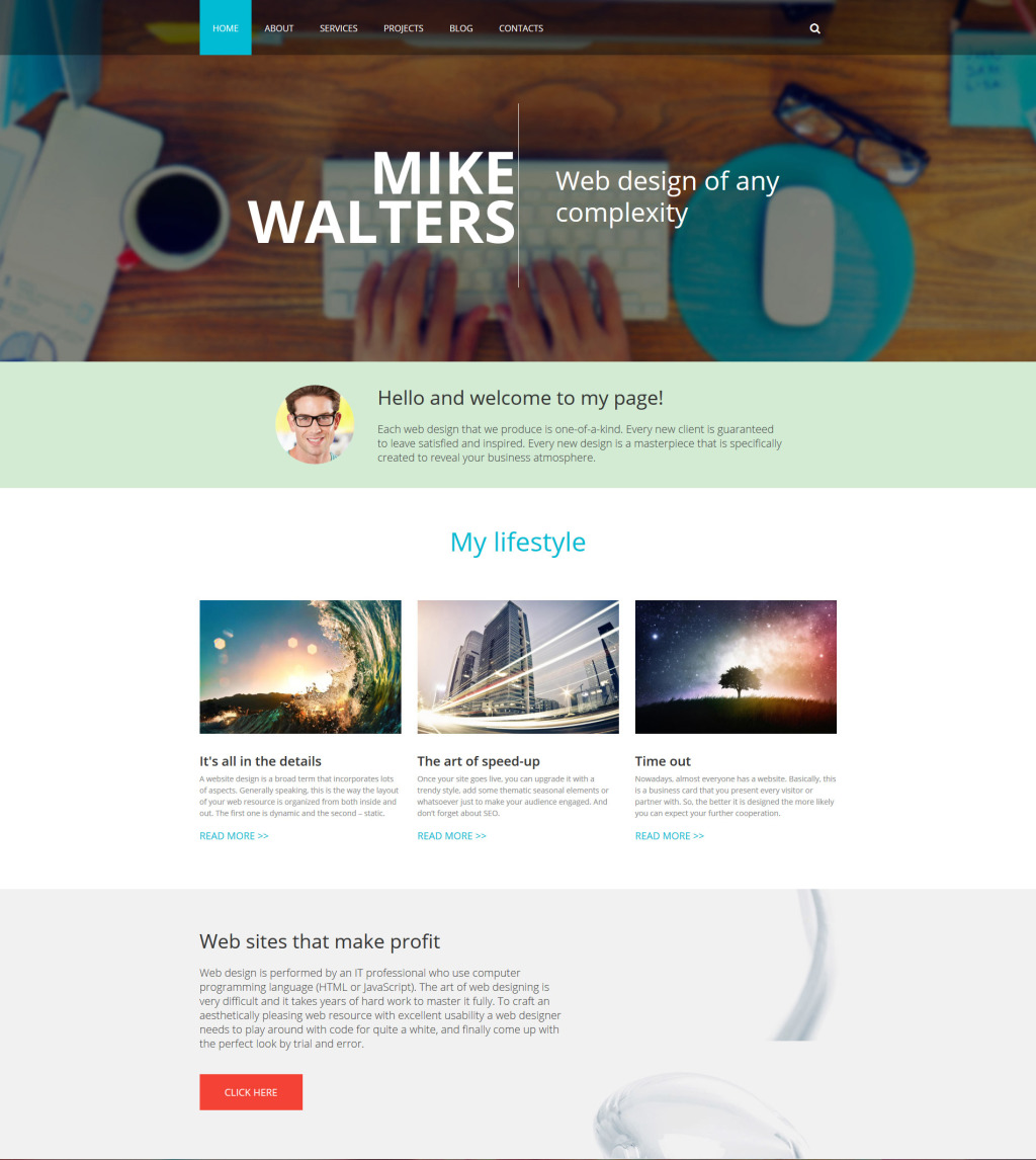 Demo Preview for Personal page Drupal Template #55363