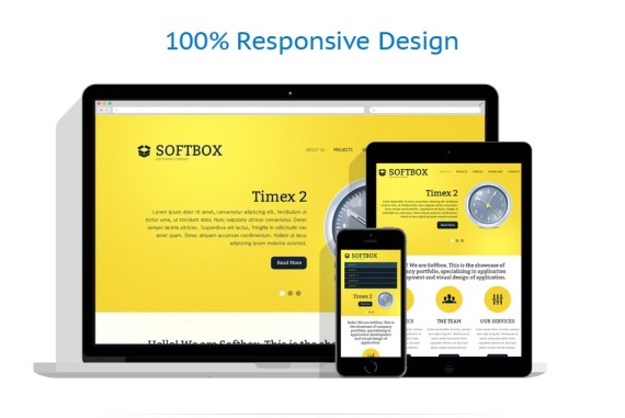 Software Responsive Website Template #40953
