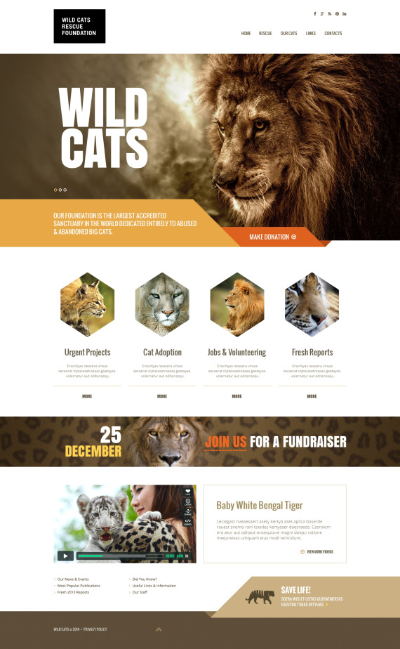 Wild Life Responsive Website Template #47932