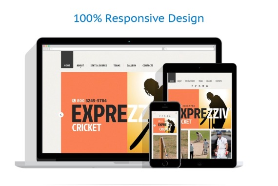 Cricket Responsive Website Template #48223