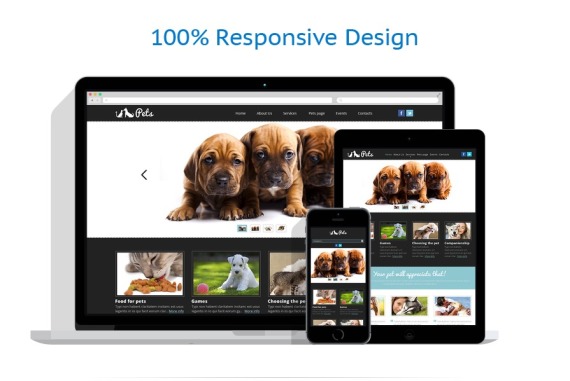 Pet Shop Responsive Website Template #48812