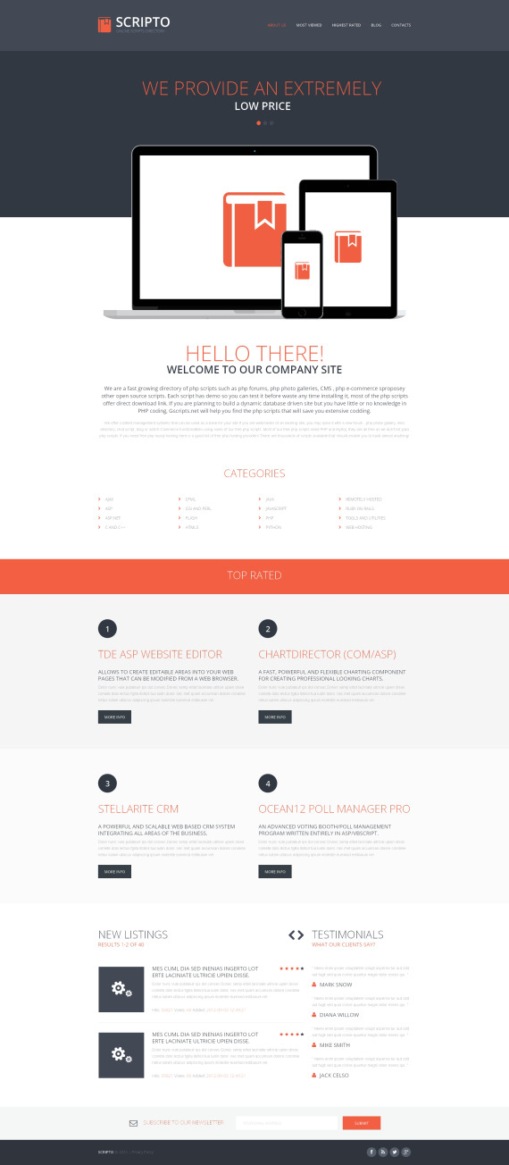 Software Company Responsive Website Template #48906
