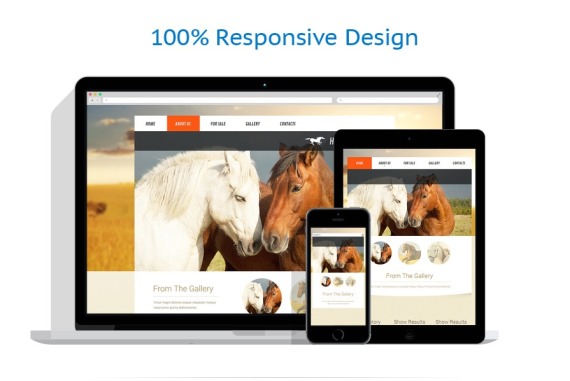 Horse Responsive Website Template #49490