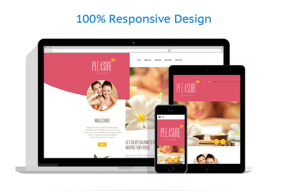 Pleasure Website Template #55244