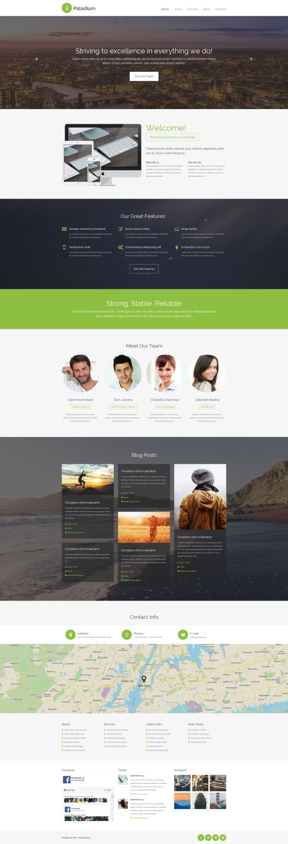 Web Development Responsive Website Template #57862