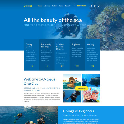 11+ Best Diving Website Templates