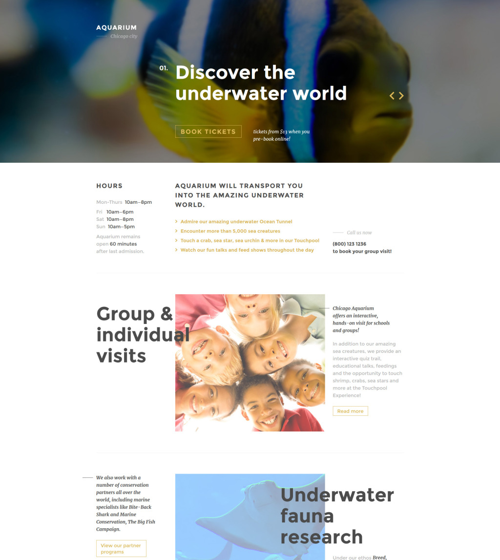 Fish Responsive Landing Page Template #58453