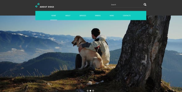 30+ шаблонов "Зоомагазин" для HTML5 сайта новыe 2021