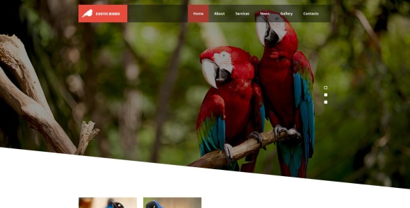 25+ шаблонов "Птицы" для сайта новыe 2024