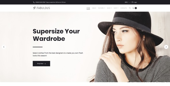 Тема модного магазина Woocommerce Fabulous Woocommerce интернет магазин для Wordpress сайта