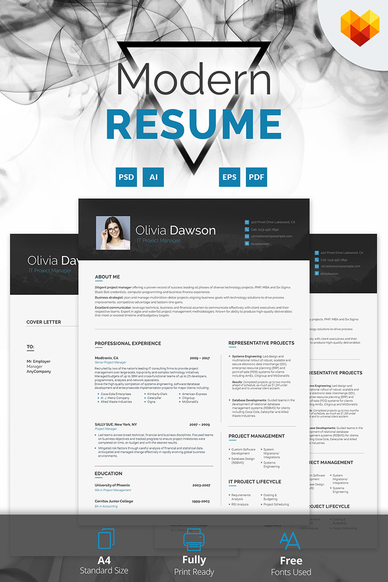 Senior Portfolio Manager Resume Sample Resumeaqu Senior Portfolio Manager Resume Sample Resumeaqu