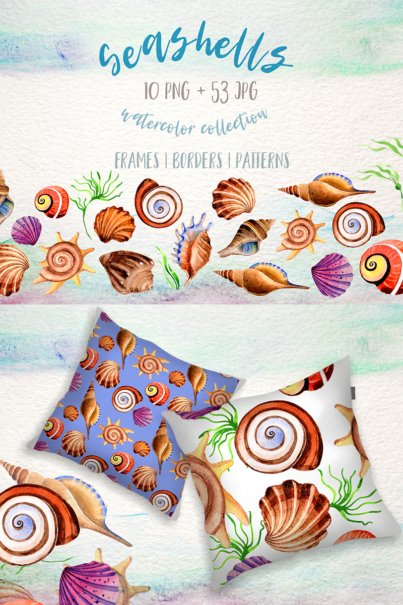 Watercolor Summer Beach Seashell PNG Set Illustration #70352