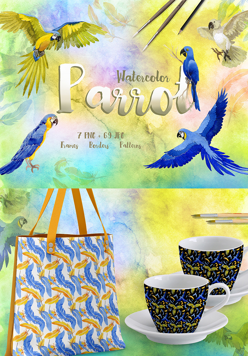Watercolor Cool Parrot PNG Bird Creative Set Illustration #71641