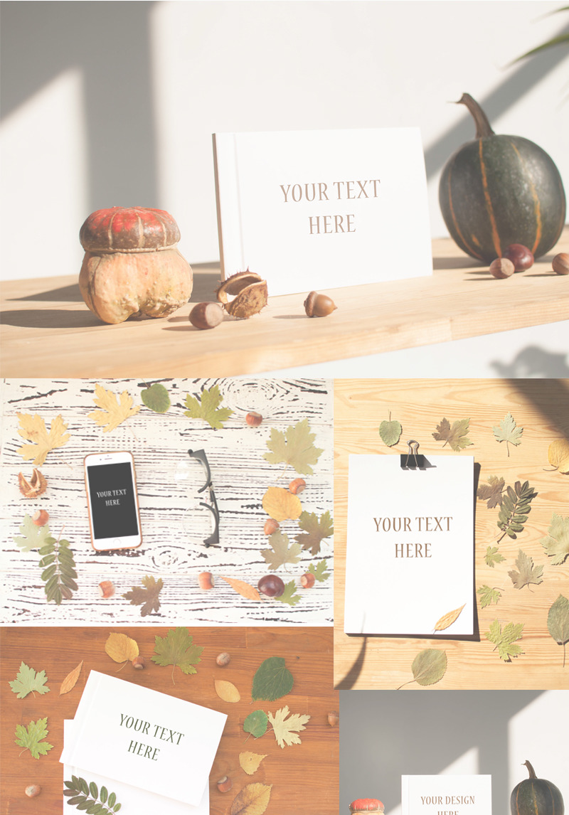 Autumn Journey Mockups & Photos Bundle Product Mockup #73738