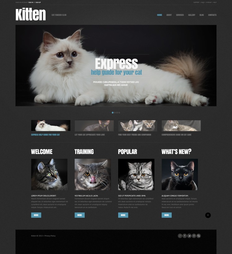 Free Cat Responsive WordPress Theme #196534