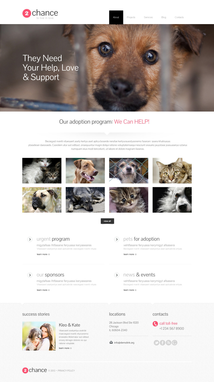 Free Impressive Animal Shelter WordPress Theme & Website Template #197036