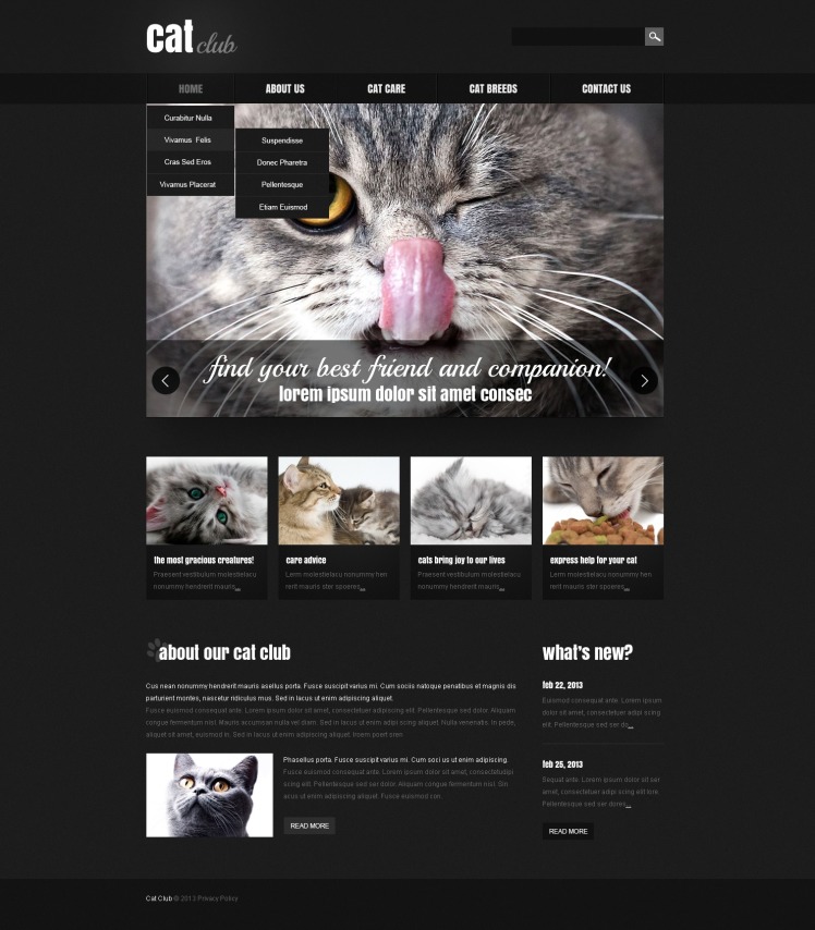 Cat Responsive Website Template #44278